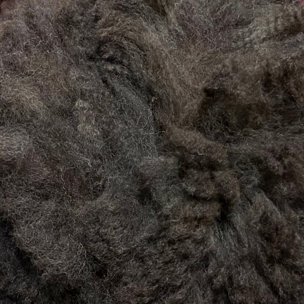 Enchanted Raw Alpaca Fiber in Dark Silver Grey - .8 Pound