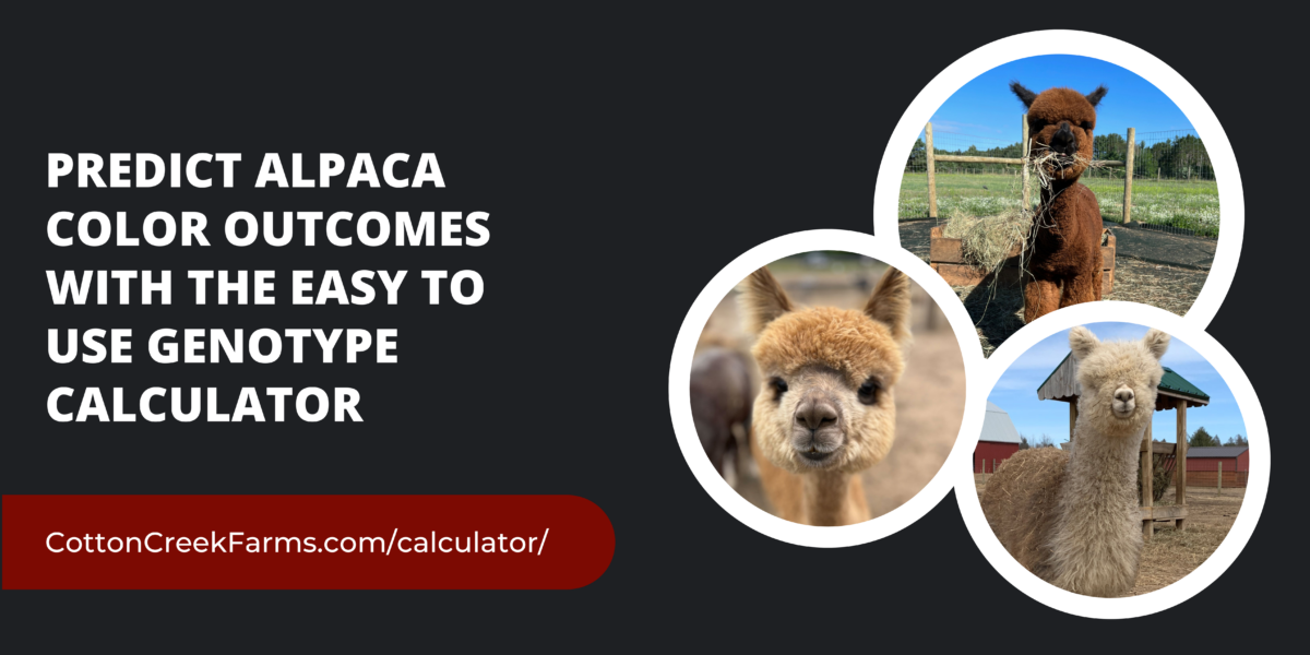Alpaca Color Genotype Calculator